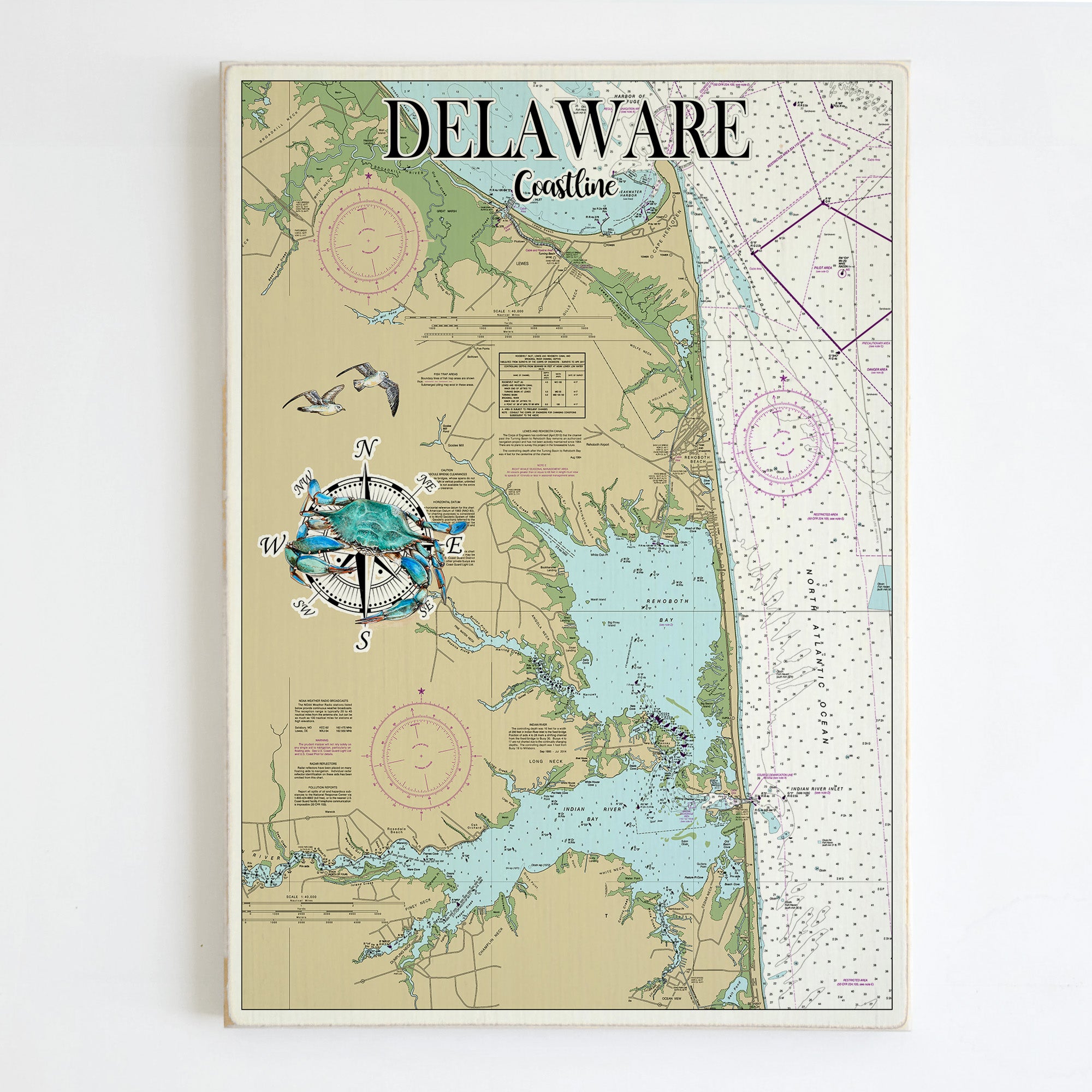 Delaware Coastline, DE Plank Map – MapMom