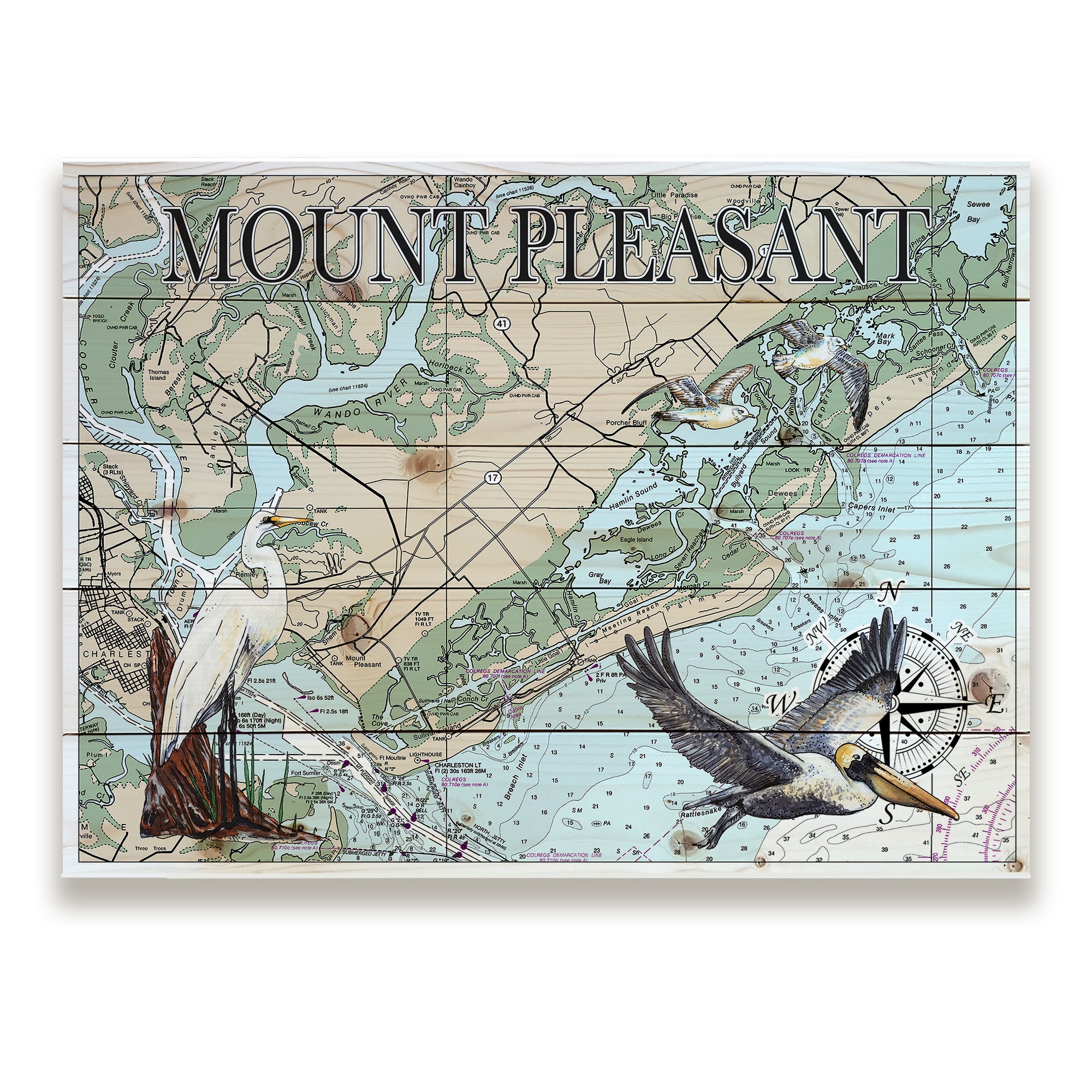 Mount Pleasant, SC -Birds Pallet Map – MapMom