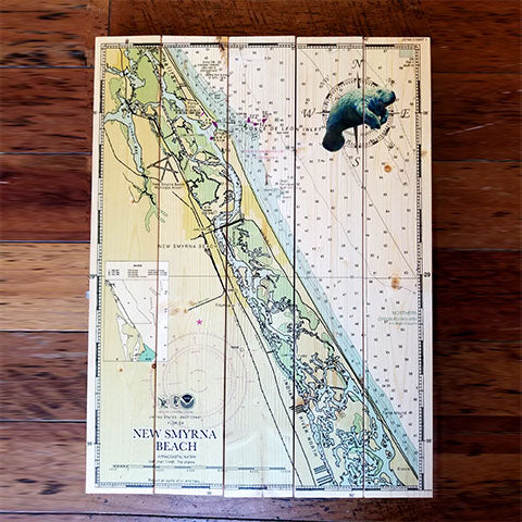 Store New Smyrna Beach Map