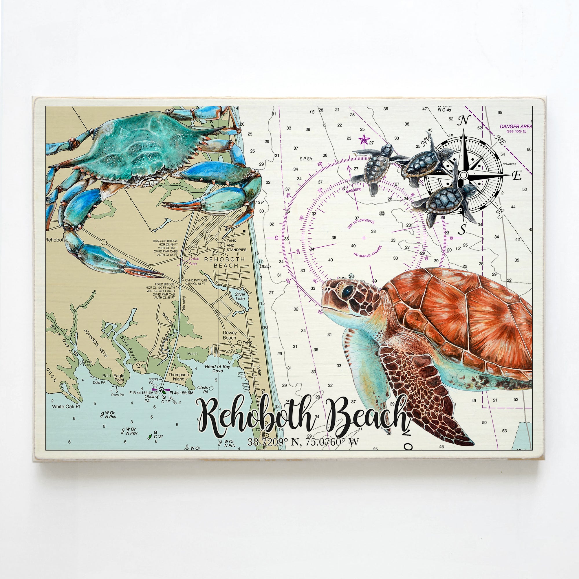 Rehoboth Beach, DE Sea Life Plank Map – MapMom