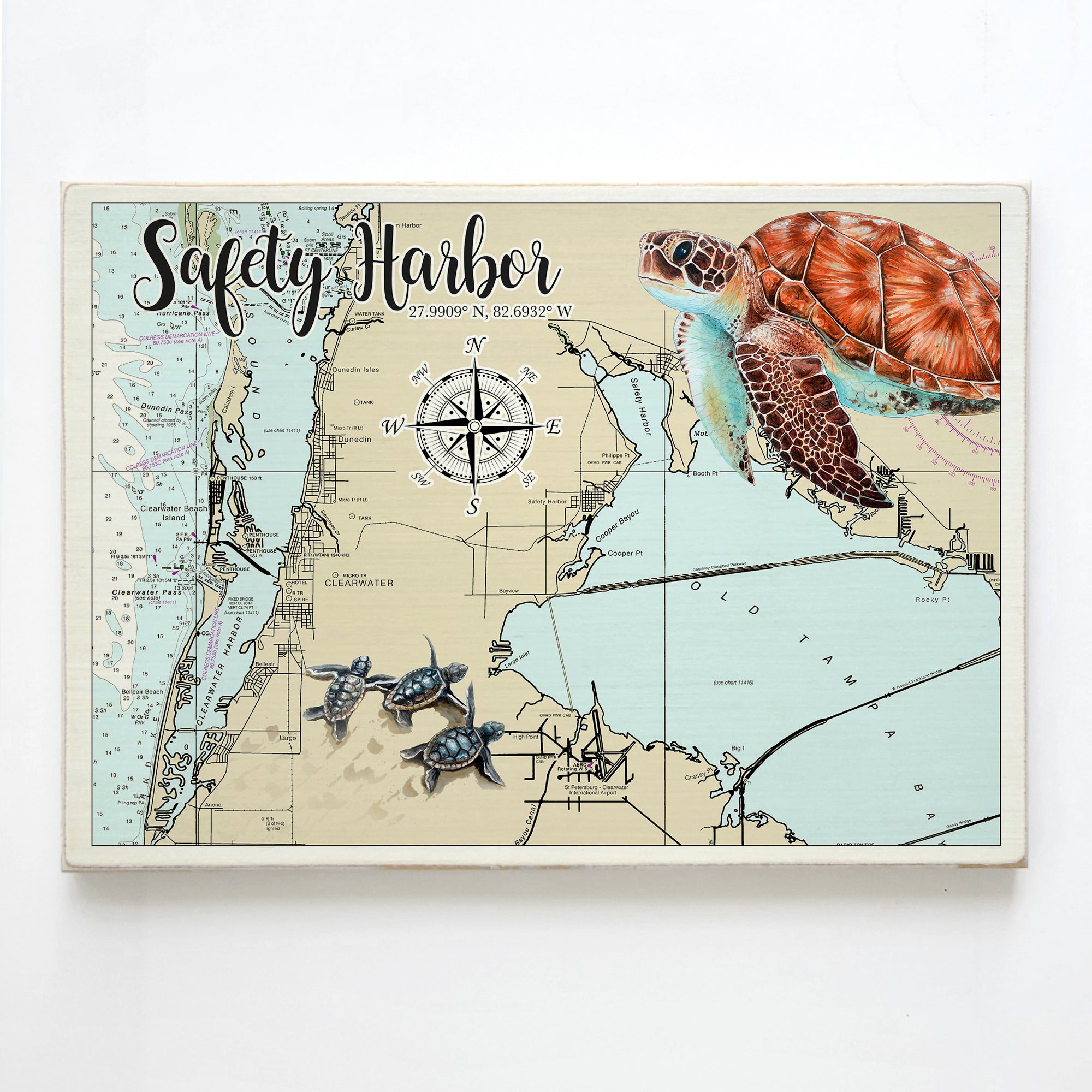 Safety Harbor, FL Sea Turtle Plank Map – MapMom